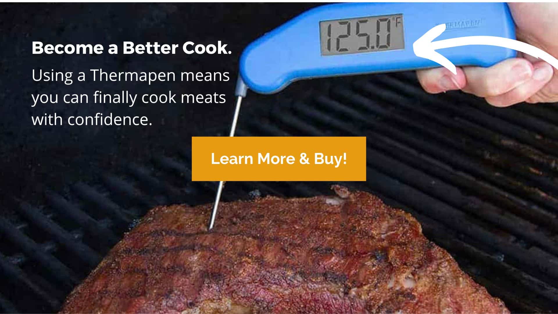 Thermoworks Classic Thermapen - Feast and Merriment